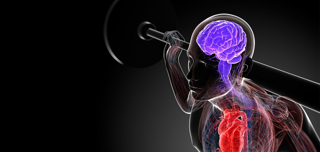 YOUR BRAIN ON EXERCISE : The Neuroscience Behind A Good Workout ...